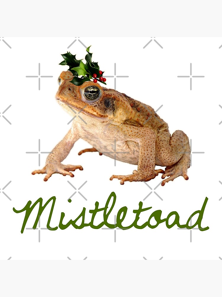 "Mistletoad" Poster by heroics | Redbubble