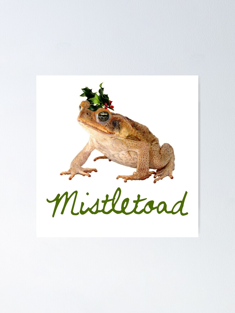 "Mistletoad" Poster by heroics | Redbubble