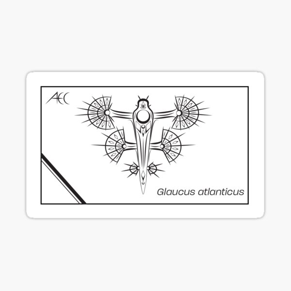 "Glaucus Atlanticus " Sticker for Sale by Virgo-Vertigo | Redbubble