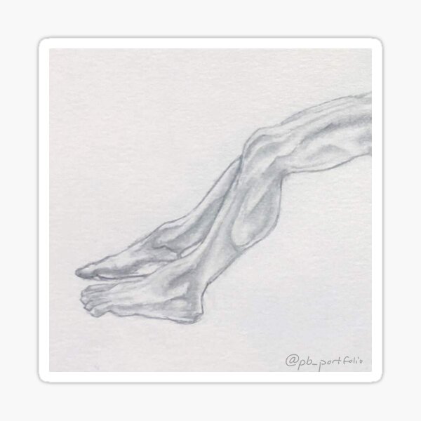 "Legs" Sticker for Sale by pbportfolio | Redbubble