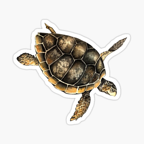 "Sea turtles" Sticker by Anutina | Redbubble