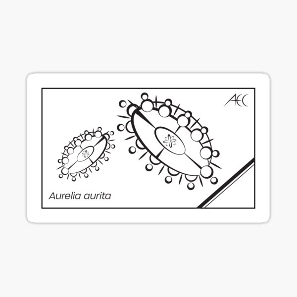 "Moon Jelly" Sticker for Sale by Virgo-Vertigo | Redbubble