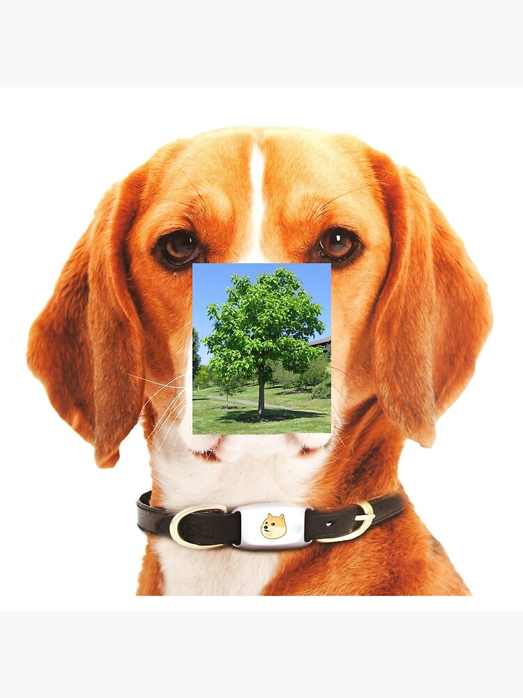 "pokemon dogtree, it's a new pokemon" Photographic Print for Sale by ...