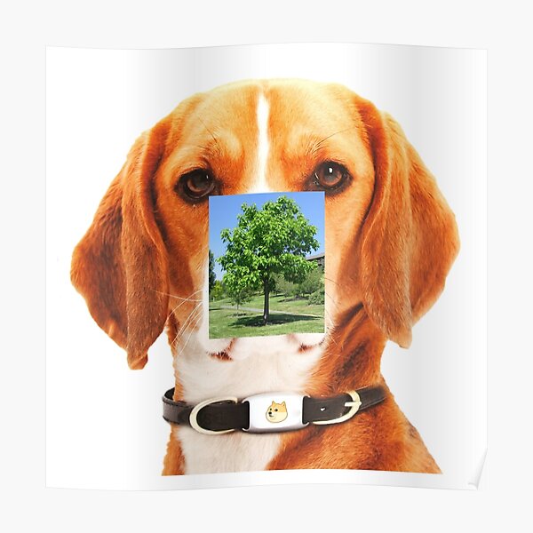 Póster «pokemon dogtree, it's a new pokemon» de pardock | Redbubble