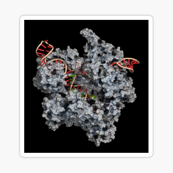 "CRISPR - CAS9 gene editing complex" Sticker by molekuul | Redbubble