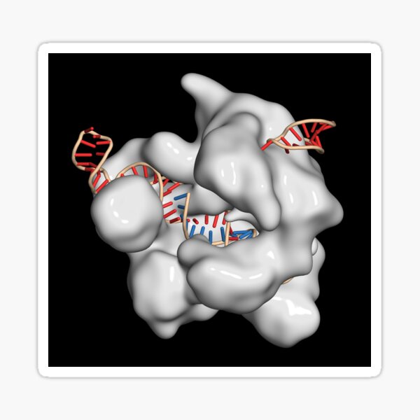 "CRISPR - CAS9 gene editing complex" Sticker for Sale by molekuul ...