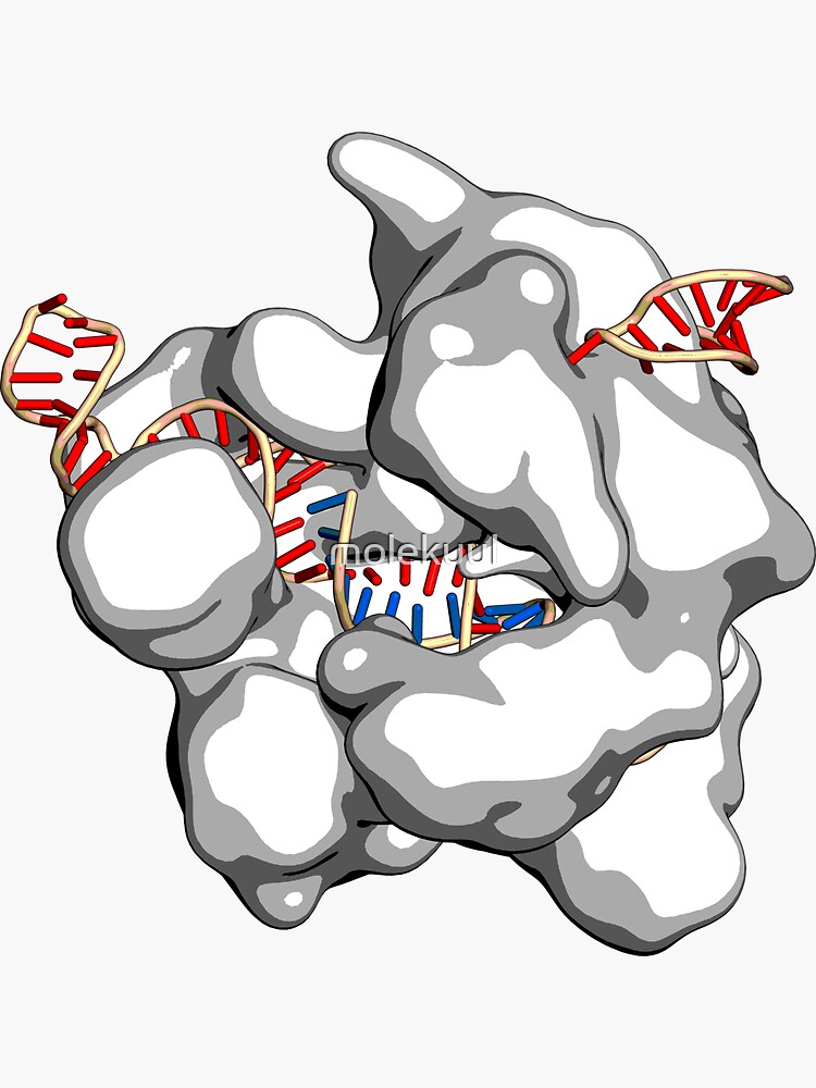 "CRISPR - CAS9 gene editing complex" Sticker for Sale by molekuul ...