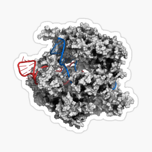 "CRISPR - CAS9 gene editing complex" Sticker for Sale by molekuul ...