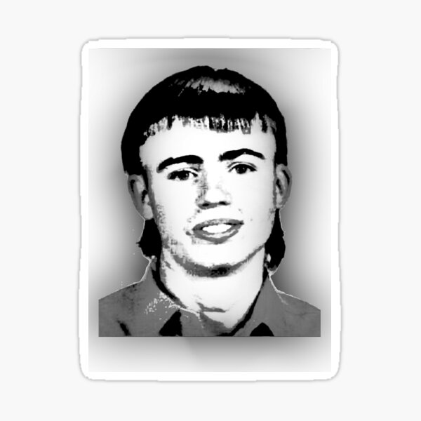 "Damo - AKA Ned" Sticker for Sale by Ilovebubbles | Redbubble