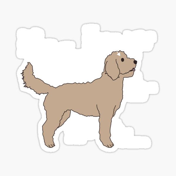 "Goldendoodle Dog Anatomy" Sticker by petprints | Redbubble