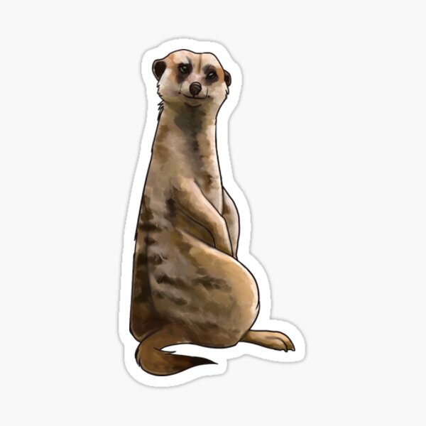 "Meerkat" Sticker by siphiridart | Redbubble
