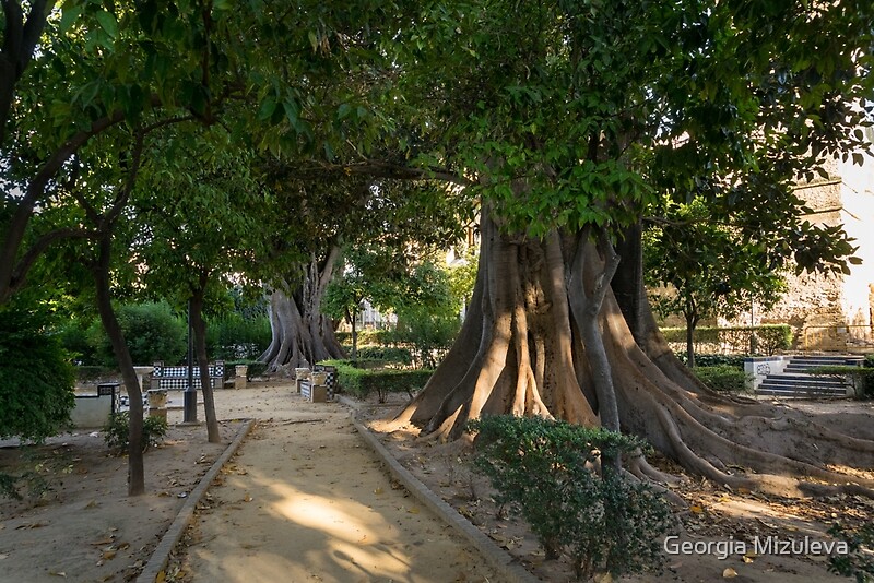 "Hiding from the Heat in Seville Spain - Jardines de Murillo Giant ...