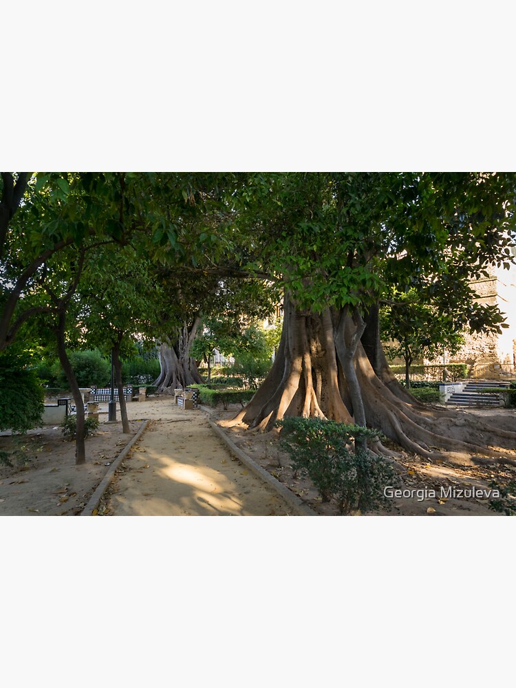 "Hiding from the Heat in Seville Spain - Jardines de Murillo Giant ...