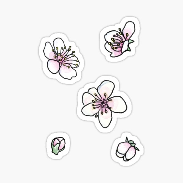 "Pastel Floral Blooms Sticker Sets, Hand Painted Watercolor Flower ...