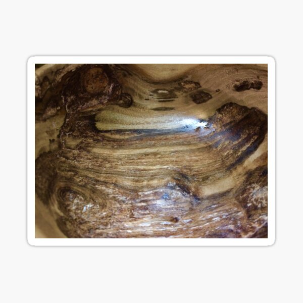 "Turned Sassafras Wood" Sticker for Sale by jallen774 | Redbubble