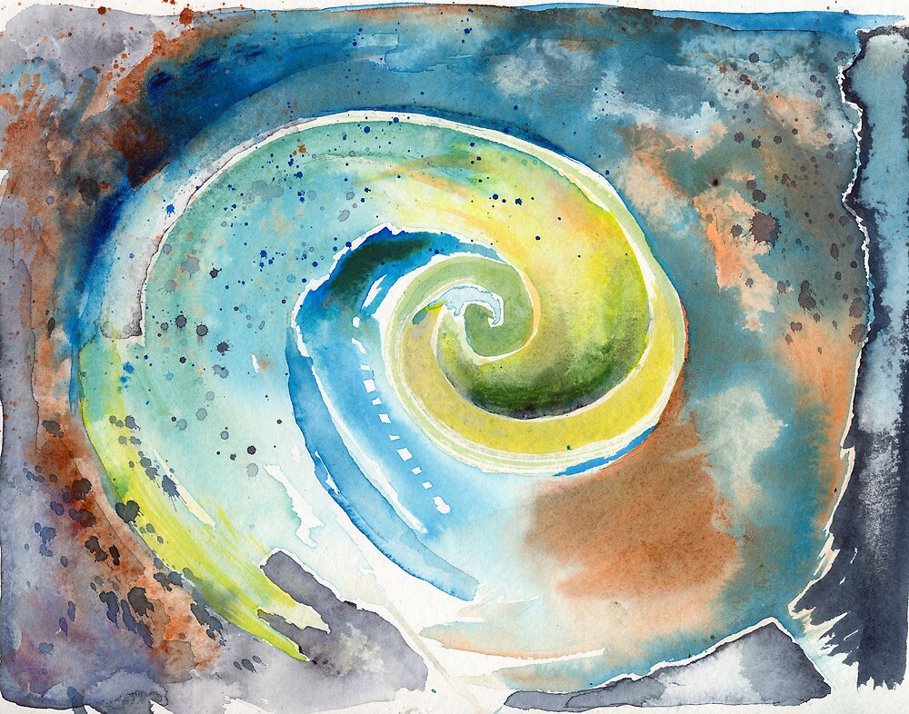 "Ammonite Form" by Gary Hoare | Redbubble