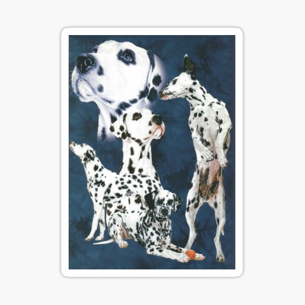 "Dalmatian Alteration" Sticker by BarbBarcikKeith | Redbubble