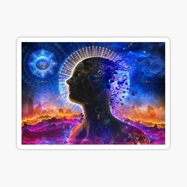"Self Awareness" Sticker for Sale by LDvisionaryart | Redbubble