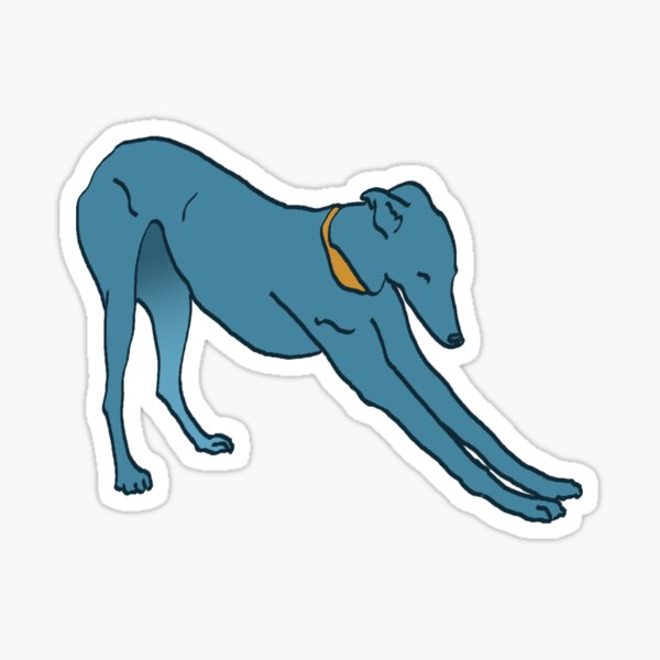 "Stretching blue lurcher dog" Sticker for Sale by rsutton | Redbubble