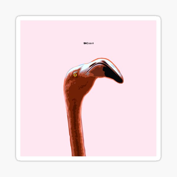 "Flamingo Head" Sticker by bfvrp | Redbubble