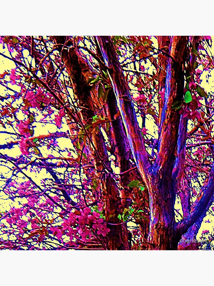 "TREES IN PURPLE SHADOWS & YELLOW ART " Poster for Sale by sharlesart ...