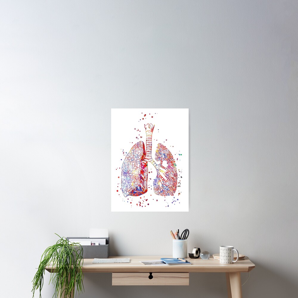 "Lungs, lungs anatomy, medical art, watercolor lungs, abstract lungs ...