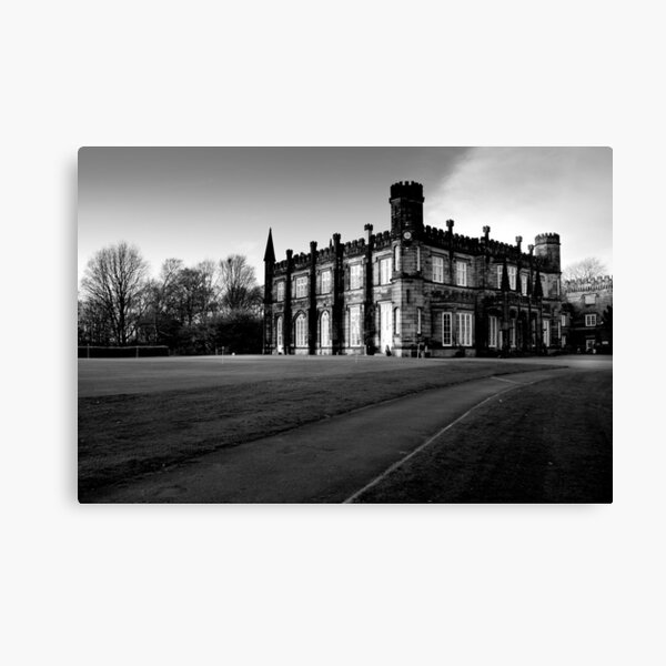 Squawk Shop | Redbubble