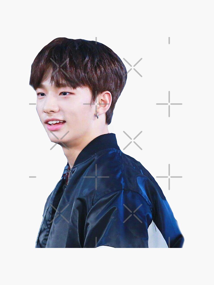 "hyunjin" Sticker by anniemckenzie | Redbubble