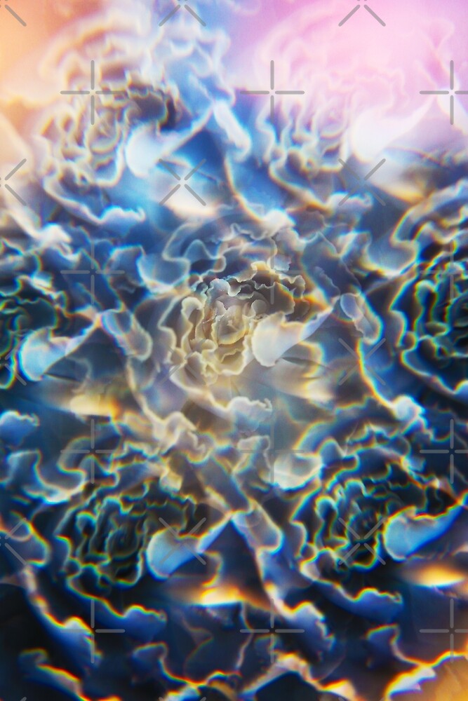 "Succulent Photographed Through Prism Filter" by Karin Elizabeth ...