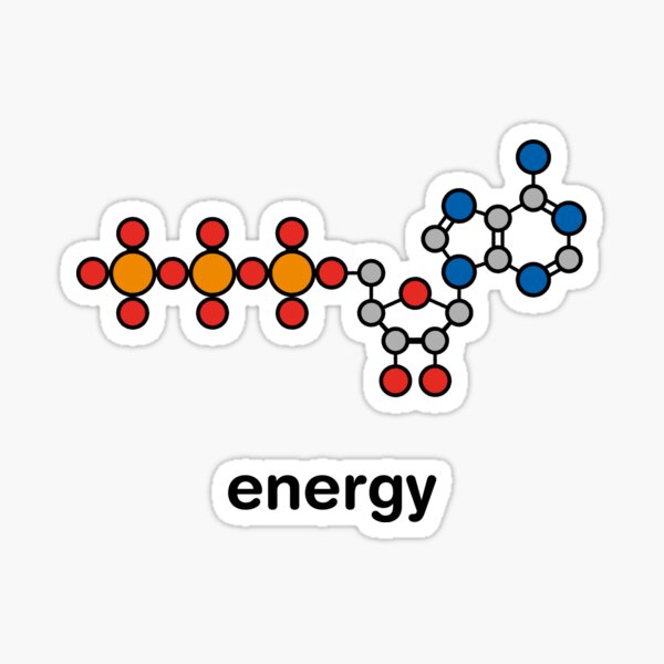 "ATP, the main cellular carrier of energy" Sticker for Sale by molekuul ...