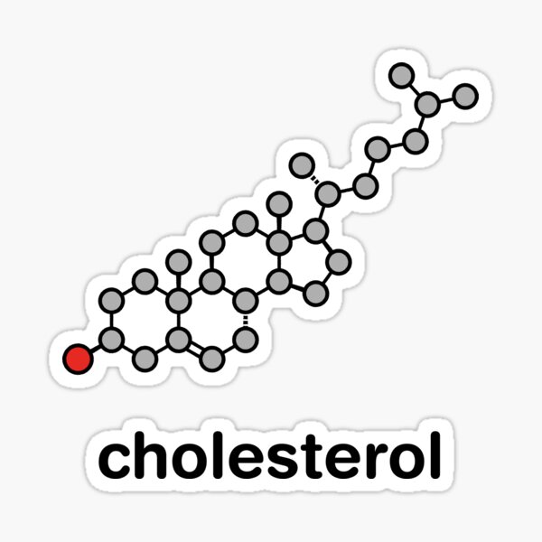 "Cholesterol molecule" Sticker by molekuul | Redbubble