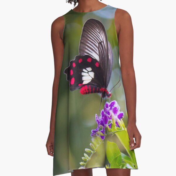 "Red-bodied Swallowtail Butterfly - Pachliopta polydorus" A-Line Dress ...