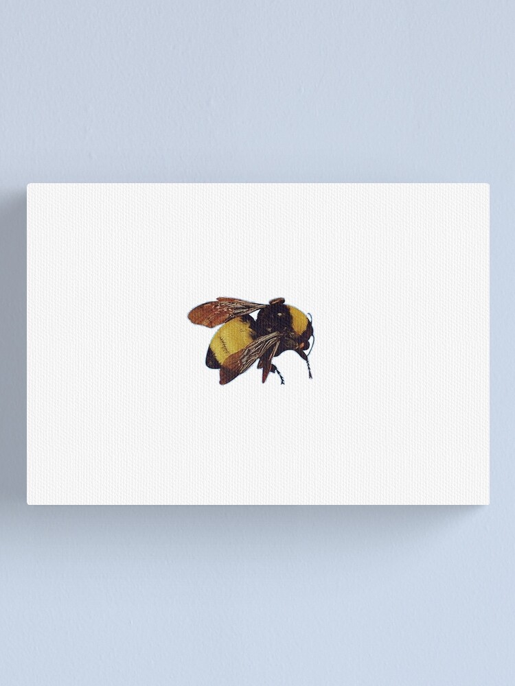 "Tyler The Creator Bee" Canvas Print by Harley-Smok | Redbubble
