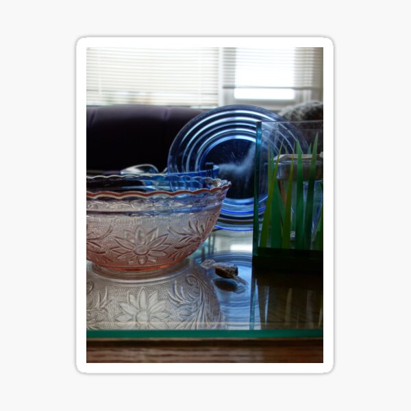 "GLASS ON GLASS REFLECTIONS." Sticker for Sale by bgoddard | Redbubble