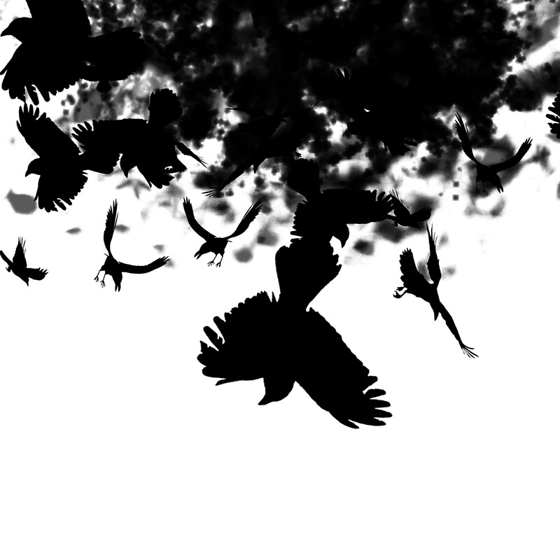 "Falling Raven" by DmitriyBelyaev | Redbubble