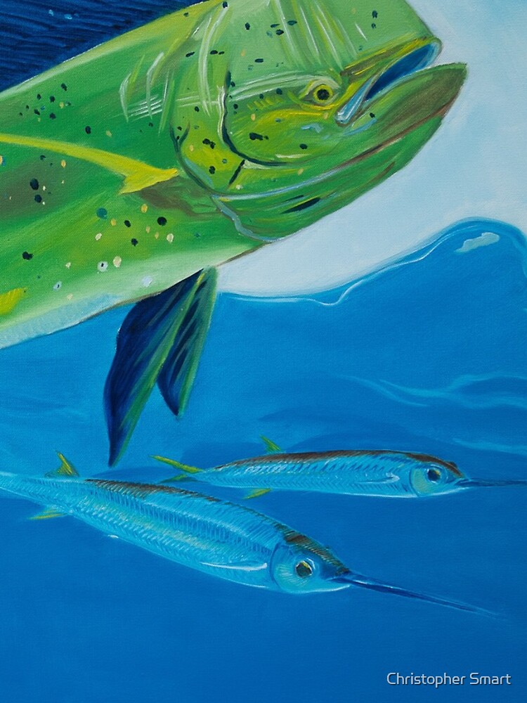 Mahi Mahi Wallpaper Iphone