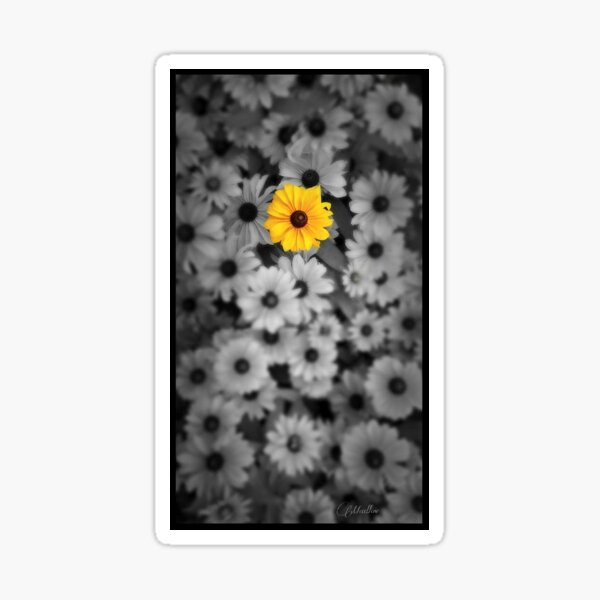 "One" Sticker for Sale by MadlovPhoto | Redbubble