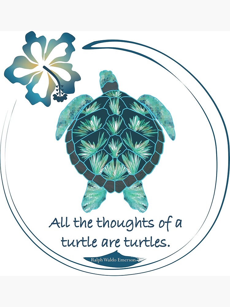 "Firework Turtle - digital art" Poster by hywidner | Redbubble