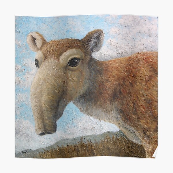 "Saiga antelope (Saiga tatarica)" Poster by elinjohnsen | Redbubble