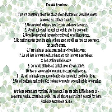 "12 Step Promises AA Big Book" Spiral Notebook for Sale by Delights ...