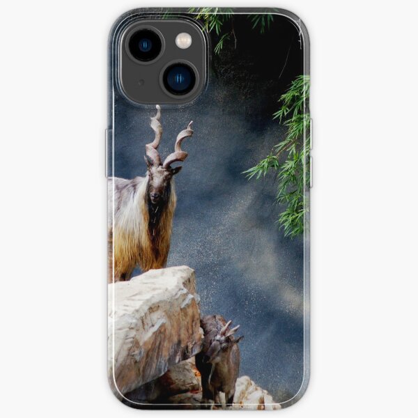 "Markhor in Los Angeles zoo" iPhone Case for Sale by loiteke | Redbubble