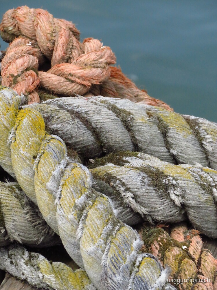 "Rope" Sticker for Sale by wiggyofipswich | Redbubble