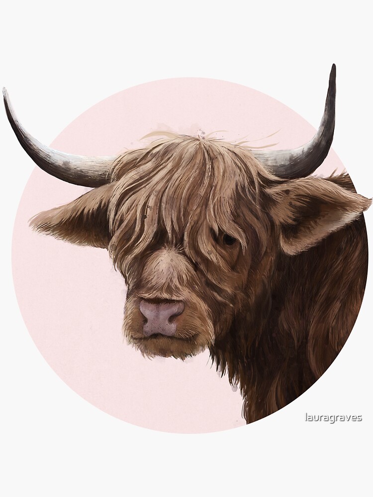 "highland cattle portrait " Sticker for Sale by lauragraves | Redbubble