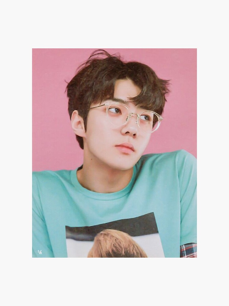 "EXO - Sehun Sticker" Sticker for Sale by Magalyv98 | Redbubble