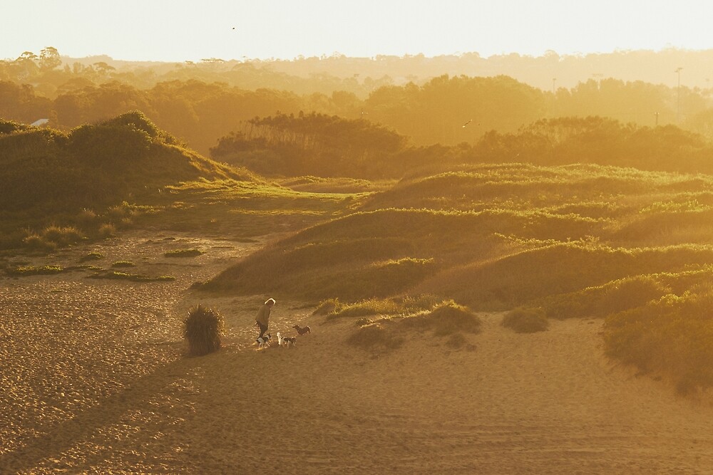 "Golden Beach Sunset Australia" by Ethan Davison | Redbubble