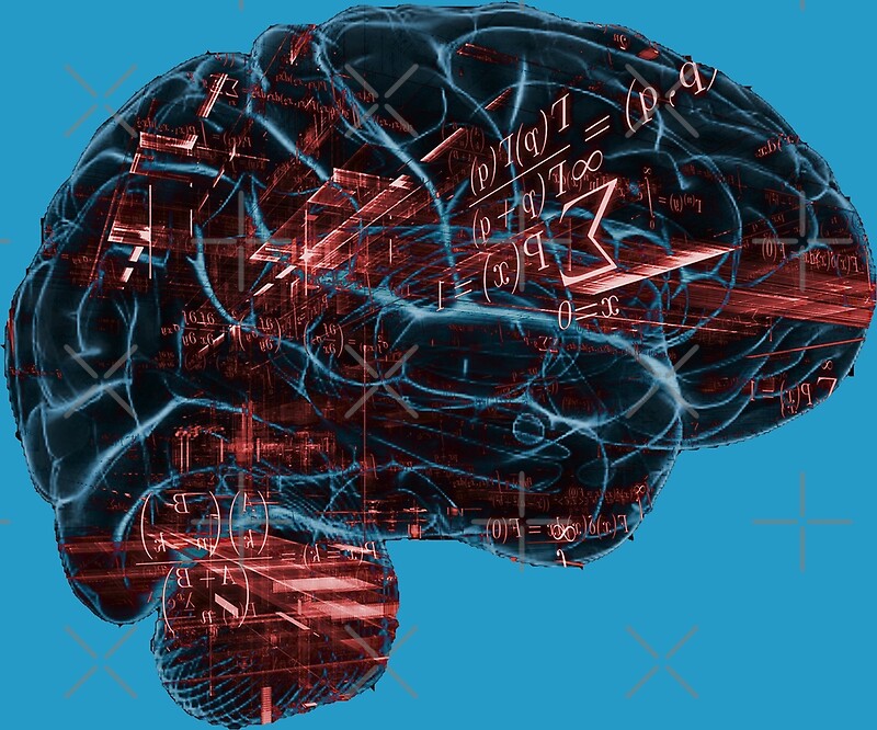 "Math Brain" by painterfrank | Redbubble