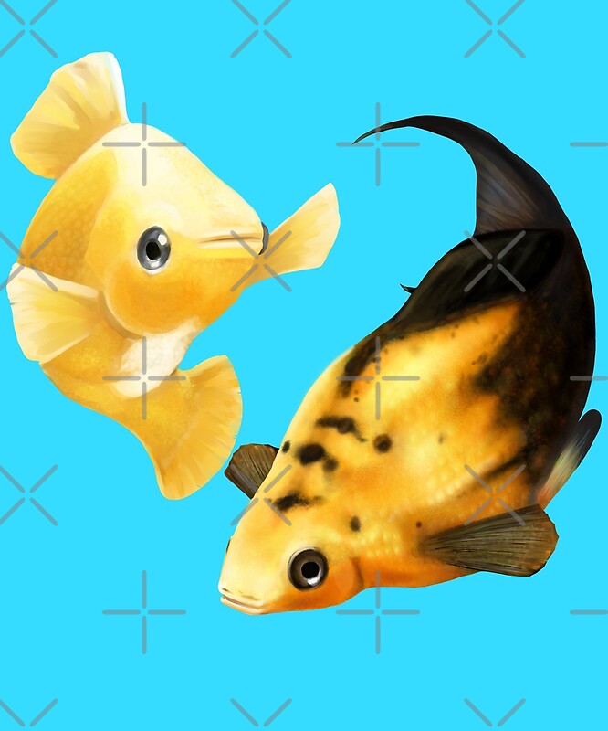 "Molly fish - Cute Golden Mollies" by Mehu | Redbubble