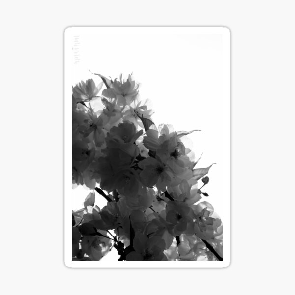 "Negative Space" Sticker by BassNati | Redbubble