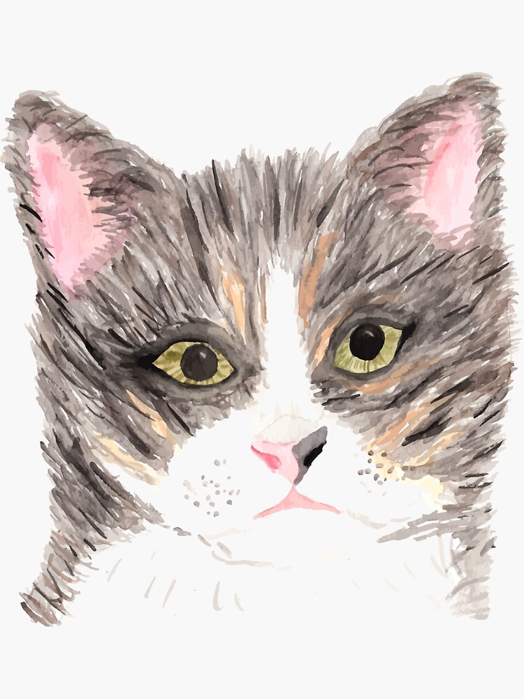 "Andy Cat" Sticker for Sale by hintofmint | Redbubble