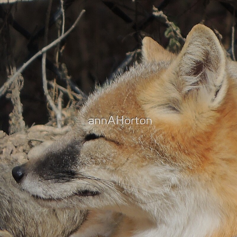 "Foxy Profile" by annAHorton | Redbubble